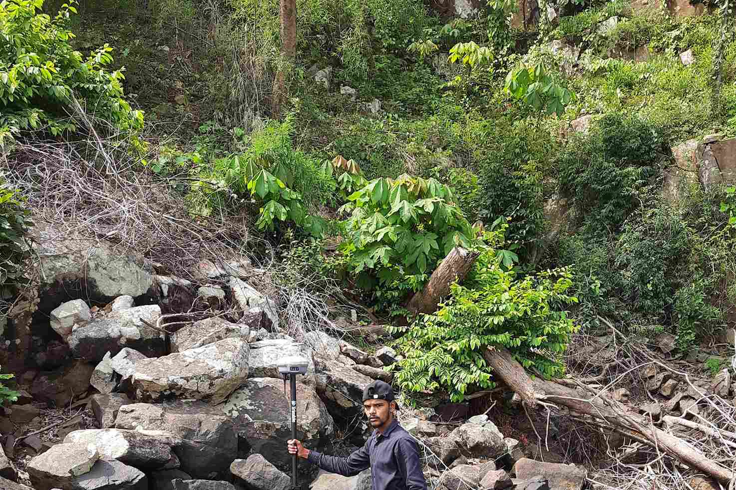 Services – Geomaps